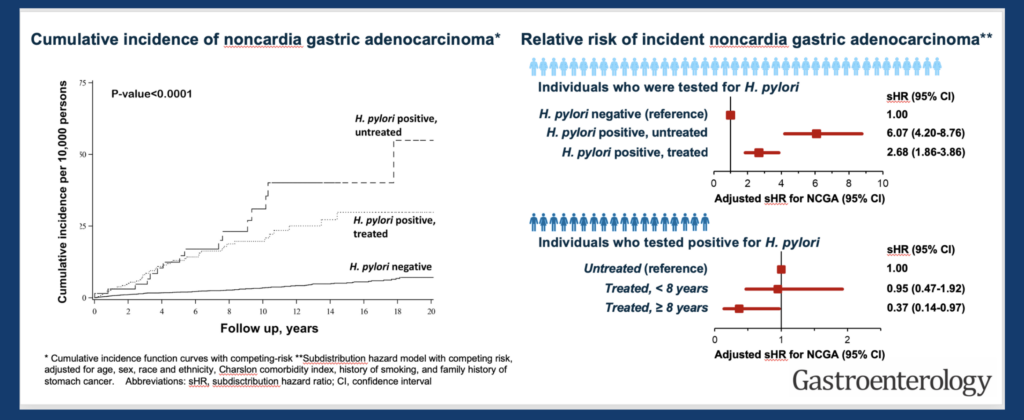Treating common stomach bacteria reduces risk of stomach cancer ...